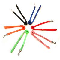 China Custom Nylon Webbing Dog Leash with Logo Printing - 4 Size Options, 7 Color Choices, 100pcs MOQ for sale
