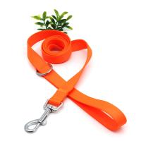 China Custom Nylon Webbing Dog Leash with Logo Printing - 4 Size Options, 7 Color Choices, 100pcs MOQ for sale