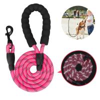 China Reflective Nylon Dog Leash 1/2