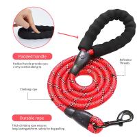 China Reflective Nylon Dog Leash 1/2