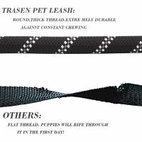 China Reflective Nylon Dog Leash 1/2