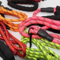 China Reflective Nylon Dog Leash 1/2