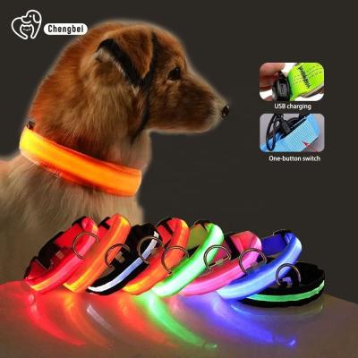 China Rechargeable LED Dog Collar with USB Charging - 2.5cm Width, 20-60cm Neck Sizes, Multiple Light Modes for sale