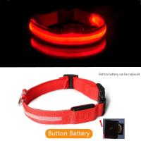 China Rechargeable LED Dog Collar with USB Charging - 2.5cm Width, 20-60cm Neck Sizes, Multiple Light Modes for sale