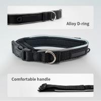 China Luxury Dog Collar Corduroy Leather Velvet Nylon Adjustable Sizes XS to L for sale