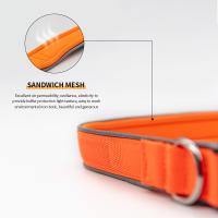 China Luxury Dog Collar Corduroy Leather Velvet Nylon Adjustable Sizes XS to L for sale