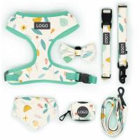 China Custom Pattern Designers Reversible Polyester Pet Harness Sets Personalized Collar Leash and Waterproof Dog Harness Set for sale