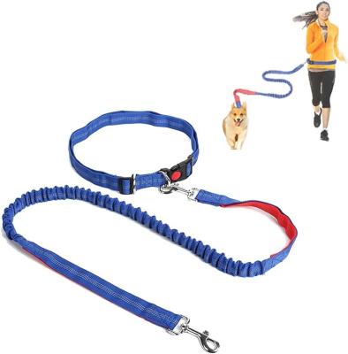 China Adjustable Hands-Free Dog Running Leash with Bungee - 48.8-68.8in Length for 30-100lb Dogs for sale