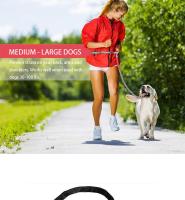 China Adjustable Hands-Free Dog Running Leash with Bungee - 48.8-68.8in Length for 30-100lb Dogs for sale