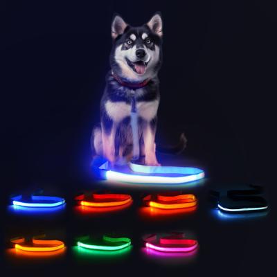 China 120cm USB Rechargeable LED Dog Leash with Glow-in-Dark Safety Feature and Custom Personalization for sale