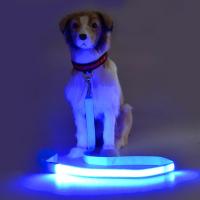 China 120cm USB Rechargeable LED Dog Leash with Glow-in-Dark Safety Feature and Custom Personalization for sale