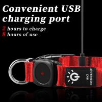 China LED Dog Collar with AirTag Holder - IPX7 Waterproof, 8-Hour Battery, Custom Logo for Medium/Large Dogs for sale