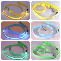 China 120cm USB Rechargeable LED Dog Leash with Glow-in-Dark Safety Feature and Custom Personalization for sale