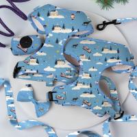 China Custom Dog Harness Set with Bowknot Bandana Collar Leash Polyester Neoprene Sizes XS to XL for sale