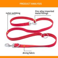 China Double-Headed Nylon Dog Leash for Two Pets - 0.1kg Lightweight, S/M/L Sizes Available with Custom Colors for sale