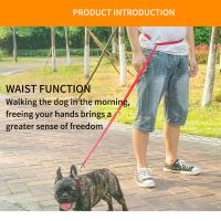 China Nylon Double-Headed Dog Leash 2m Length with Custom Colors for Hands-Free Running and Dual Pet Walking for sale