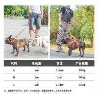 China Double-Headed Nylon Dog Leash for Two Pets - 0.1kg Lightweight, S/M/L Sizes Available with Custom Colors for sale