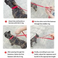 China Double-Headed Nylon Dog Leash for Two Pets - 0.1kg Lightweight, S/M/L Sizes Available with Custom Colors for sale