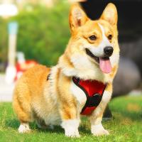 China Explosion-Proof Nylon Dog Harness with Reflective Strips - 0.2kg Weight, S-XXL Sizes for Medium/Large Breeds for sale