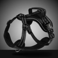 China Custom Reflective Explosion-Proof Dog Leash & Harness Set - 0.2kg Weight, 5 Sizes S-XXL for Medium/Large Dogs for sale