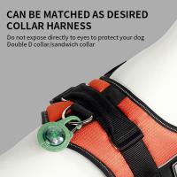 China Rechargeable LED Dog Safety Tag with Color Changing Lights - 5cm x 3.5cm Size, 8 Hour Battery Life for sale