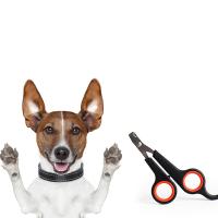 China Professional Stainless Steel Pet Nail Clipper 8x12cm for Dogs and Cats with Safety Guard and 8 Color Options for sale