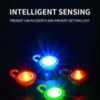 China Rechargeable LED Dog Safety Tag with Color Changing Lights - 5cm x 3.5cm Size, 8 Hour Battery Life for sale