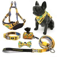 China Custom Nylon Pet Harness Set with Sublimation Printing - XS/S/M/L Sizes, 0.3kg Weight, OEM/ODM Available for sale