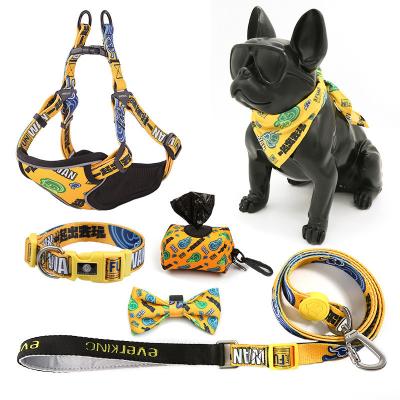 China Custom Nylon Pet Harness Set with Sublimation Printing - XS/S/M/L Sizes, 0.3kg Weight, OEM/ODM Available for sale