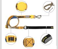 China Custom Nylon Pet Harness Set with Sublimation Printing - XS/S/M/L Sizes, 0.3kg Weight, OEM/ODM Available for sale