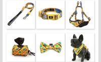 China Custom Nylon Pet Harness Set with Sublimation Printing - XS/S/M/L Sizes, 0.3kg Weight, OEM/ODM Available for sale