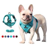 China Polyester Reflective Dog Harness with 1.5m Leash - Adjustable Blue Pet Vest in XS,S,M,L Sizes for sale