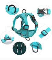 China Polyester Reflective Dog Harness with 1.5m Leash - Adjustable Blue Pet Vest in XS,S,M,L Sizes for sale