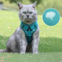 China Polyester Reflective Dog Harness with 1.5m Leash - Adjustable Blue Pet Vest in XS,S,M,L Sizes for sale