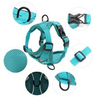 China Polyester Reflective Dog Harness with 1.5m Leash - Adjustable Blue Pet Vest in XS,S,M,L Sizes for sale