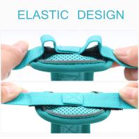 China Polyester Reflective Dog Harness with 1.5m Leash - Adjustable Blue Pet Vest in XS,S,M,L Sizes for sale