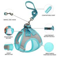 China Custom Dog Harness and Leash Set with Breathable Mesh - Adjustable Fit for All Sizes 7-15 Day Shipping for sale