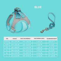 China Custom Dog Harness and Leash Set with Breathable Mesh - Adjustable Fit for All Sizes 7-15 Day Shipping for sale