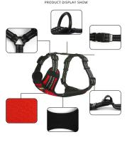 China Waterproof LED Light-Up Dog Harness with Reflective Strips - XS to XL Sizes for Small Breeds - 50 Piece MOQ for sale