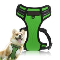 China Waterproof LED Light-Up Dog Harness with Reflective Strips - XS to XL Sizes for Small Breeds - 50 Piece MOQ for sale
