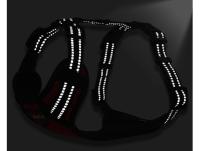 China Waterproof LED Light-Up Dog Harness with Reflective Strips - XS to XL Sizes for Small Breeds - 50 Piece MOQ for sale