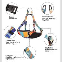 China Reflective Dog Harness and Leash Combo Set Sizes L M S Custom Colors OEM ODM for sale