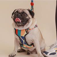 China Reflective Dog Harness and Leash Combo Set Sizes L M S Custom Colors OEM ODM for sale