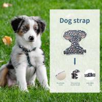 China Custom Printed Breathable Dog Harness and Leash Set - Adjustable S/M/L Sizes, 100pcs MOQ, 7-15 Day Shipping for sale
