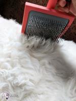 China Pet Wire Grooming Brush Wooden Handle Long Pin Slicker Brush for Medium Large Dogs 20x10cm for sale
