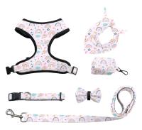 China Personalized Custom Dog Cat Harness Sets Adjustable No Pull Luxury Designer Collar and Leash Set with Custom Colors for sale