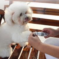 China Quiet Automatic Cat Nail Clipper USB Charging Paw Trimmer For Small Animals for sale