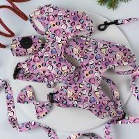 China Adjustable Neoprene Mesh Dog Harness Set with Leash Sizes XS-XL Custom Logo OEM for sale