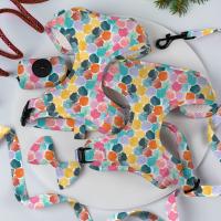 China Adjustable Neoprene Mesh Dog Harness Set with Leash Sizes XS-XL Custom Logo OEM for sale