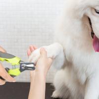 China Sustainable Green Pet Nail Clippers 19.6cm with Stainless Steel Blades - 200 Pcs MOQ for sale